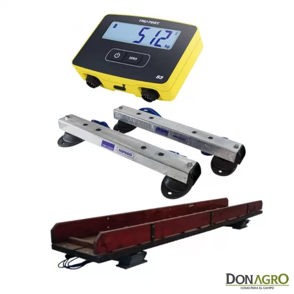 KIT Balanza Indicador S3 + Baston XRSi TRU-TEST0 + Plataforma 2000 Kgrs ...