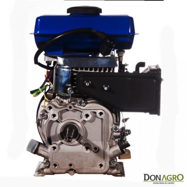 Motor Naftero 2.5HP Lifan 152F - Don Agro
